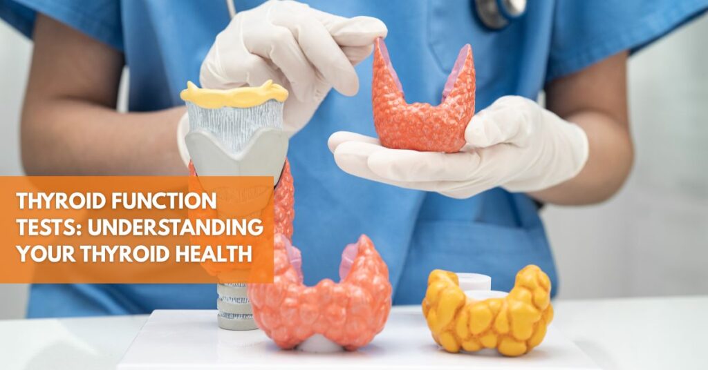 Thyroid Function Tests in Aberdeen | Private Thyroid Blood Tests