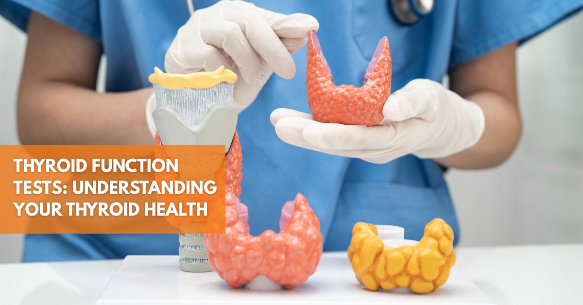 Thyroid Function Tests in Aberdeen | Private Thyroid Blood Tests